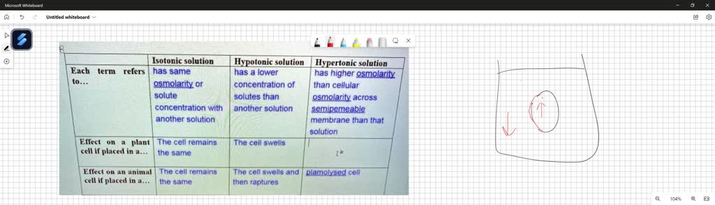SOLVED: hypertonic equitonic hypotonic isotonic supersonic