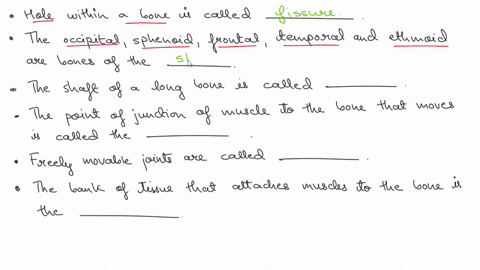 The immovable joints of the skull are...