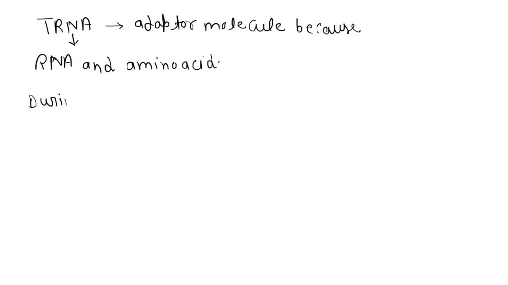 SOLVED: TRNA molecule has been called an adaptor molecule because: a ...