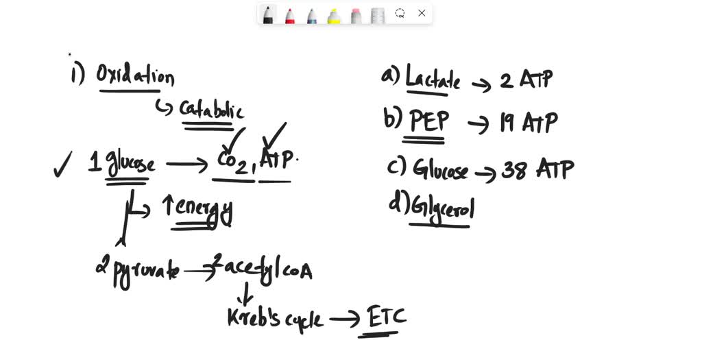 SOLVED: 2. How many ATP molecules are generated during the complete ...