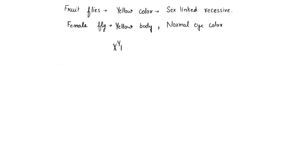 Solved Two Fruit Flies That Are Heterozygous For Body Color And Eye 9461