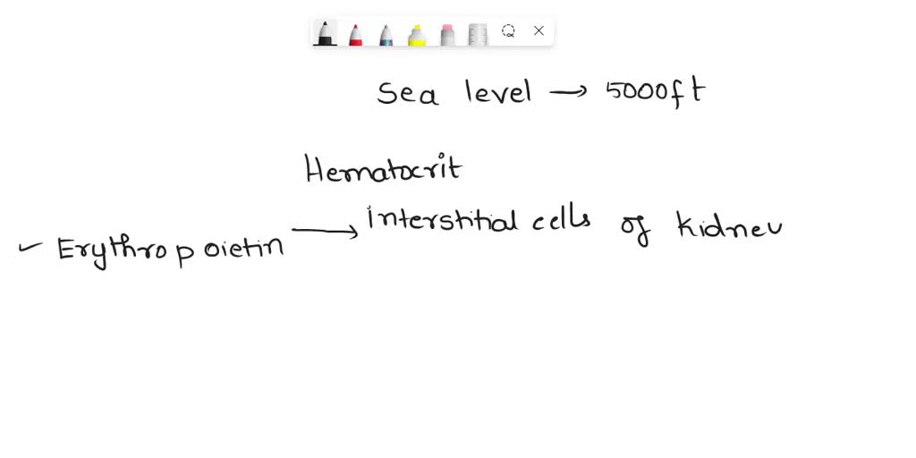 SOLVED: 1. A person who goes from sea level to a city that is 5000 feet ...
