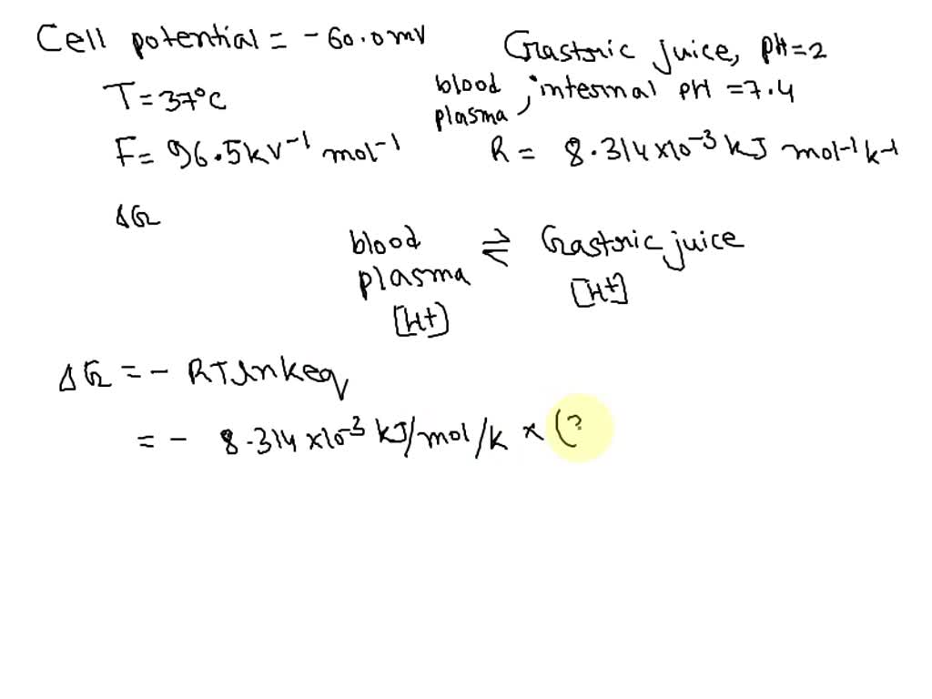 SOLVED: Gastric juice is made up of substances secreted from parietal cells, chief cells, and ...