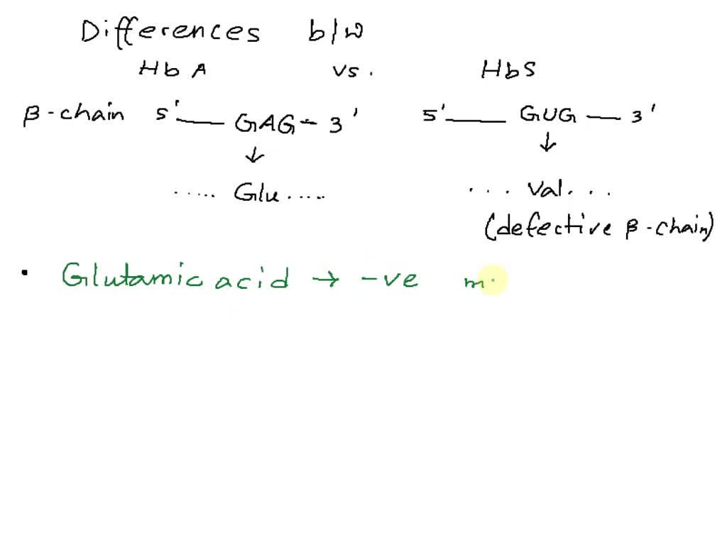 SOLVED: How the concentration of HbA, HbA2, HbF hemoglobins change in ...