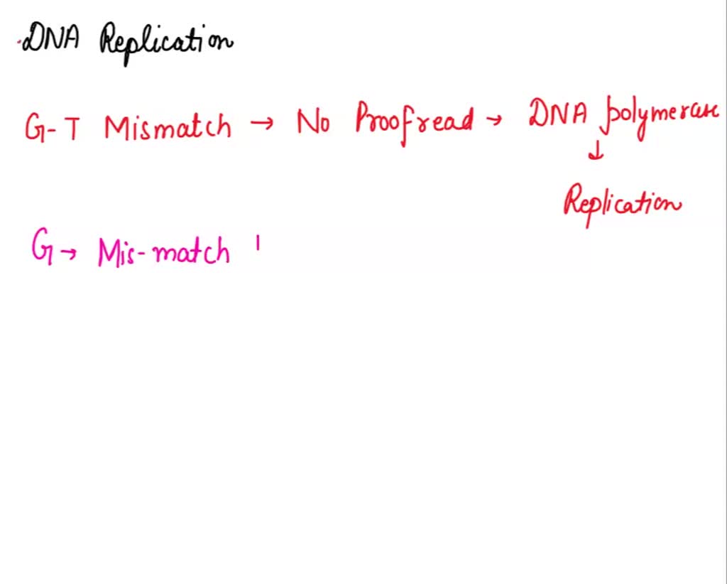 SOLVED: During mismatch repair after replication, how does the cell ...