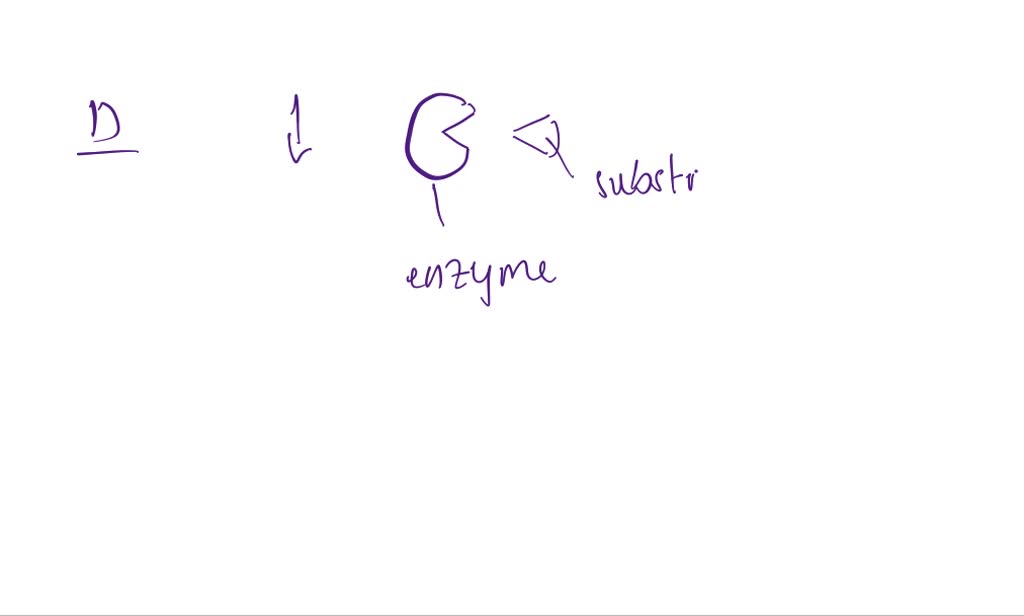 SOLVED: 'Low [S]: low binding affinity for substrate and low catalytic ...