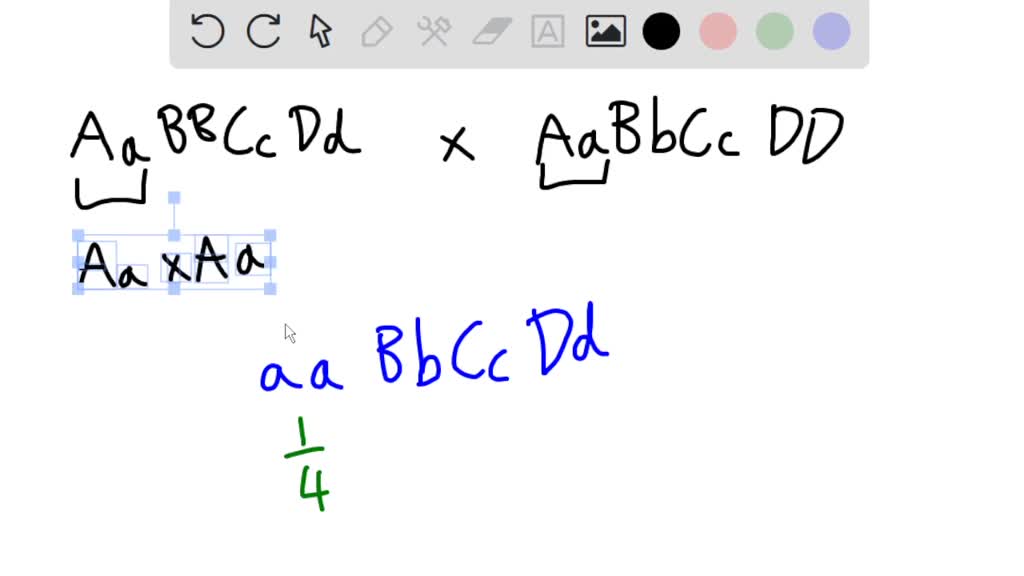If an AaBBCcdd male mates with an AABbCcDd female, what is the minimum ...