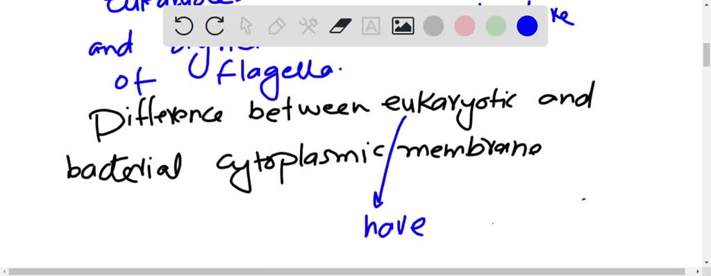 Solved Differentiate Among The Flagellar Structures Of Bacteria 6365