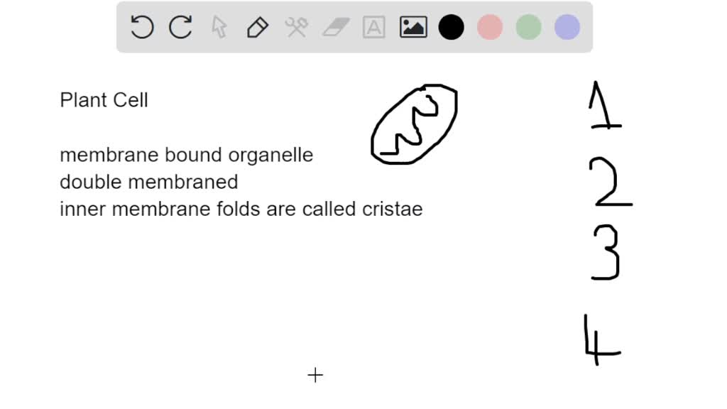 SOLVED: 'whats the answer OO The diagram below represents plant cell ... SOLVED: 'whats the answer OO The diagram below represents plant cell ...