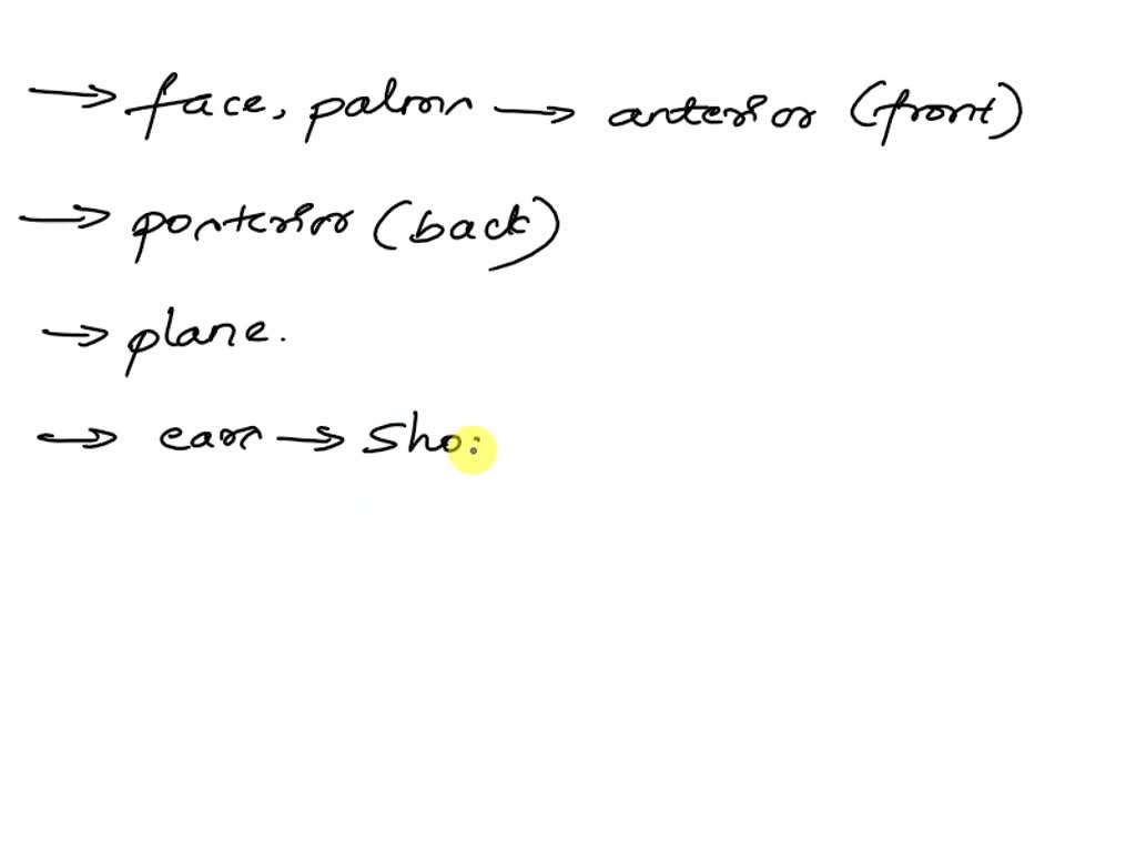 SOLVED: The standard anatomical position for the human body will place ...