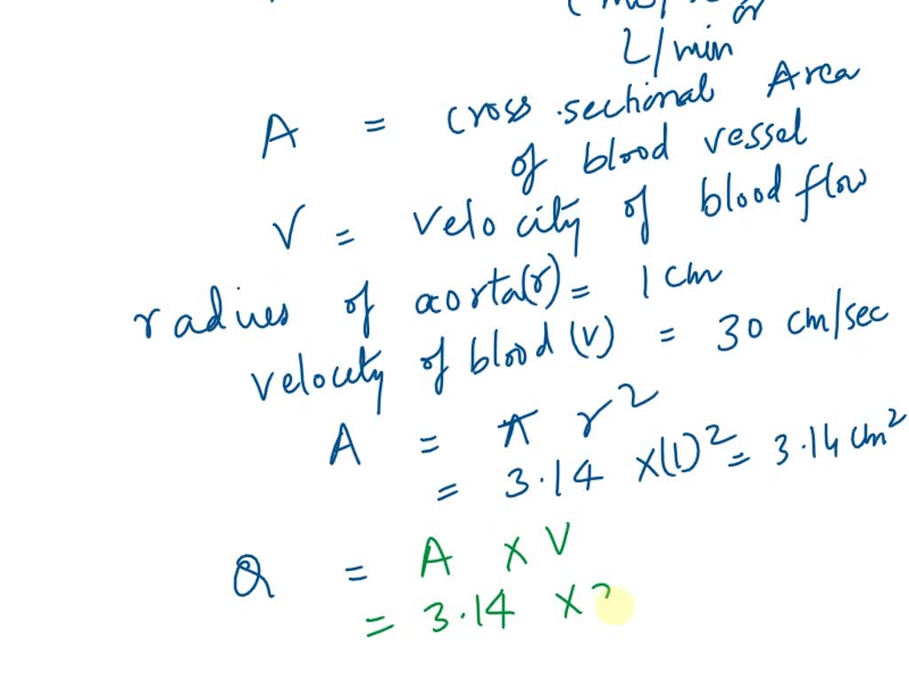 SOLVED: The aorta is 1.00 cm in radius and the average speed of blood ...
