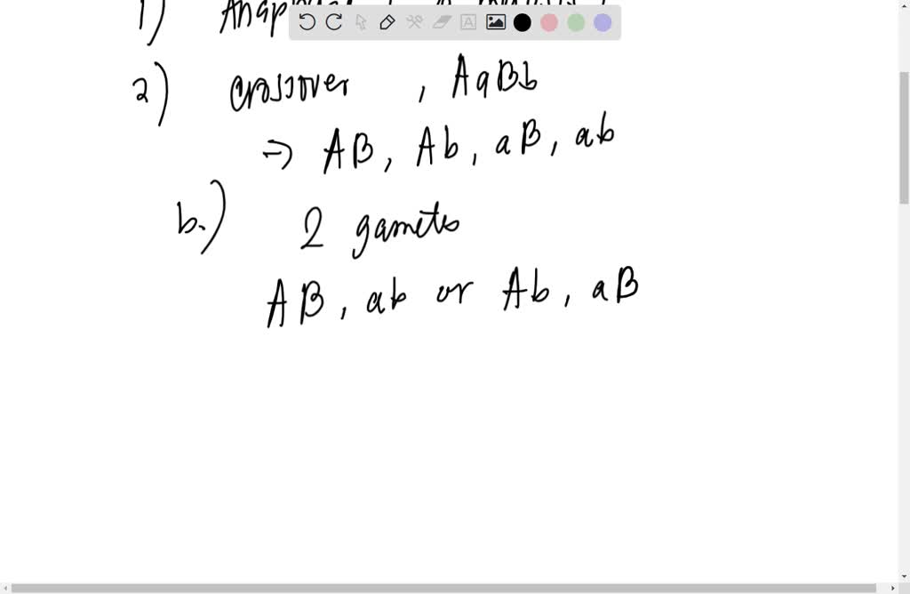 SOLVED: Mendel's work coiled two laws of Mendelian Genetics: Law of ...