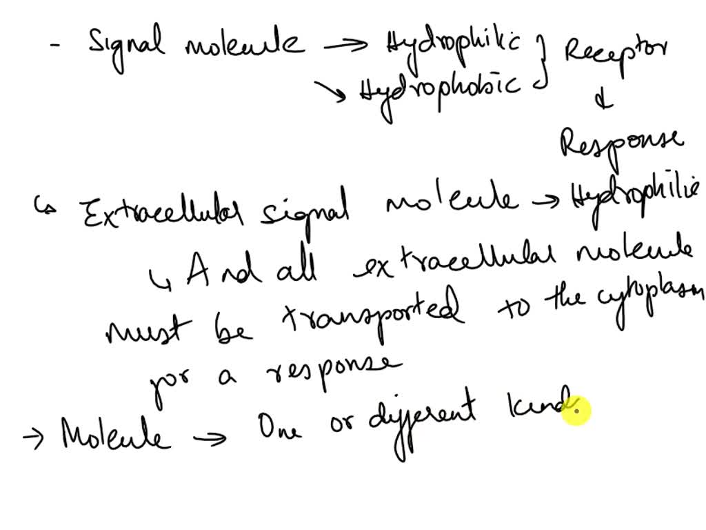 SOLVED: Which of the following statements is NOT true? Group of answer ...