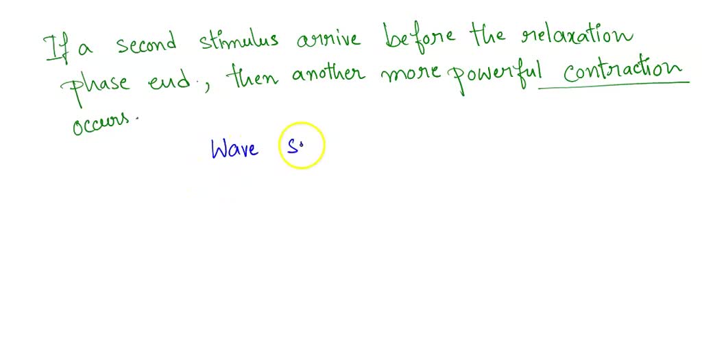 SOLVED: The increase in muscle tension that is produced by increasing ...