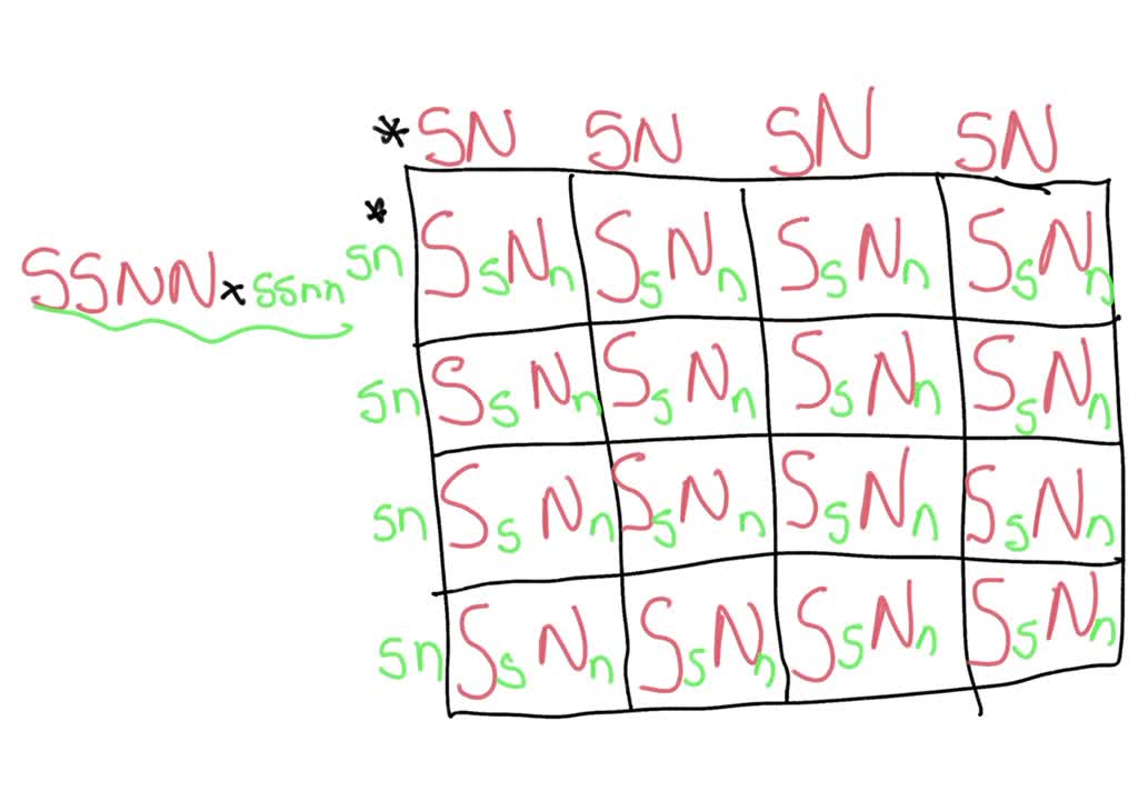 SOLVED: Gene S controls the sharpness of spines in a type of cactus ...