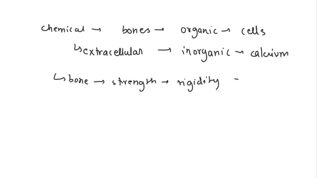 SOLVED: Chemical Composition of Bone and Junctional Dermal Matrix Bone ...