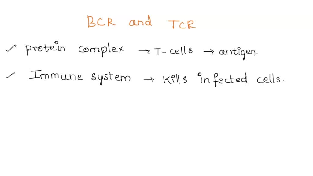 SOLVED: what are three differences between B-cell receptor (BCR) and TCR
