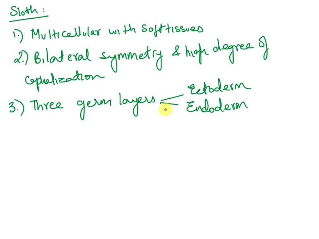 SOLVED: Text: Voice SLOTHS Cell and Tissue Organization: Body Symmetry ...
