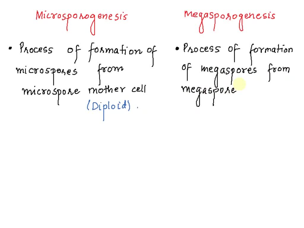 SOLVED: Differentiate between microsporogenesis and megasporogenesis ...
