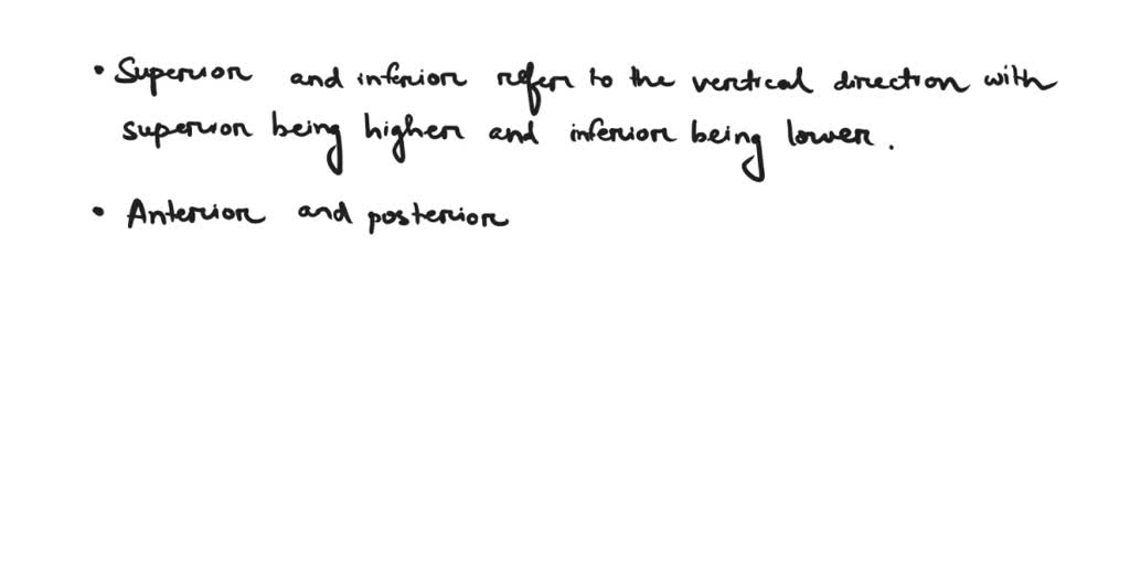 SOLVED: What are the differences between superior and inferior, and ...
