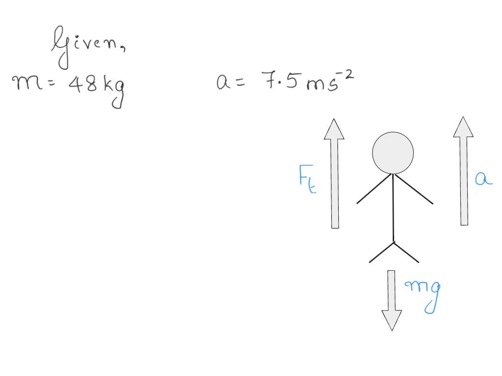 SOLVED: Problem 2: A gymnast with a mass of 48-kg jumps on a trampoline ...