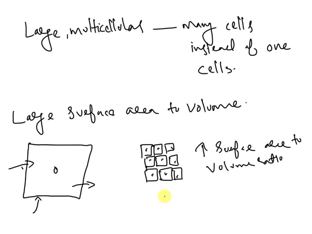 Explain why large, multicellular organisms must have trillions of ...