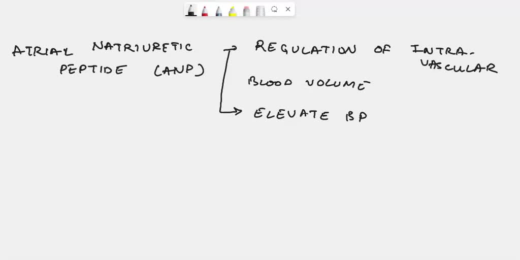 SOLVED: 11. What is the function of atrial natriuretic peptide (ANP ...