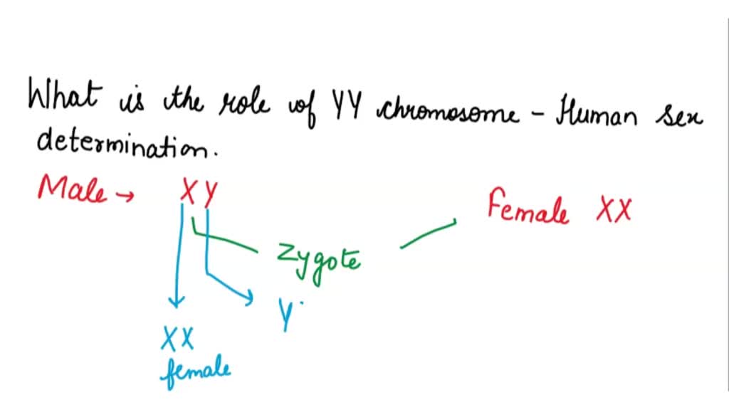 SOLVED: Question 1: explain the role of water bath in chromosome ... SOLVED: Question 1: explain the role of water bath in chromosome ...