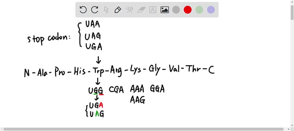 SOLVED: A particular protein has the amino acid sequence N ... Ala-Pro ...