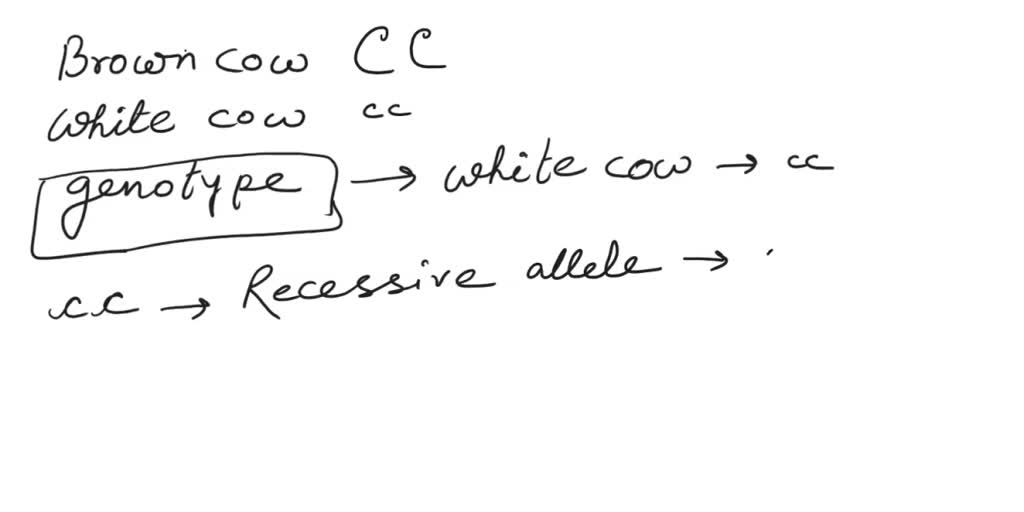 SOLVED: 2. If brown (C) Cows are dominant to white (c) cows, then what ...