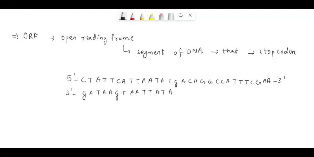 SOLVED: Genetic code: There is a single open-reading frame (ORF) in the DNA molecule shown below ...