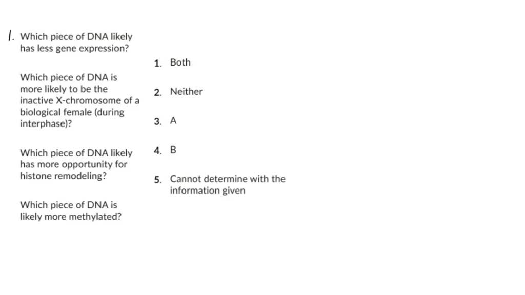 SOLVED: Types of Inflorescence Spike Raceme Panicle Umbel Corymb Cyme ...