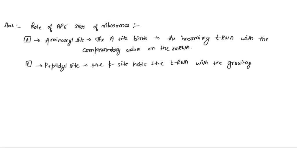 SOLVED: In the space below, identify each part of the diagram noted ...