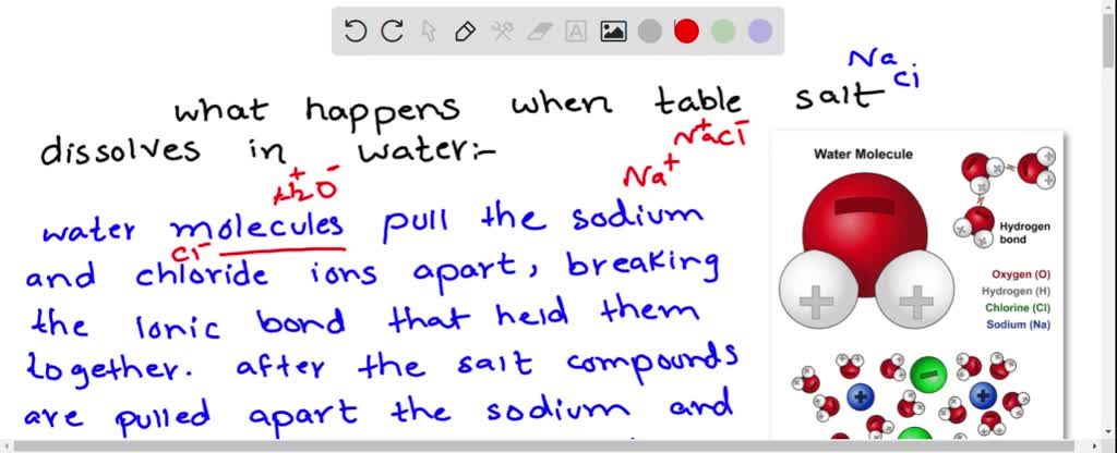 SOLVED: A sample of table salt is dissolved in a glass of water