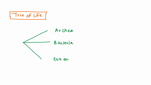 (3 pts) Draw a simplified tree of life in the proper...