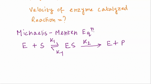 When s km the velocity of an enzyme catalyzed reaction is...