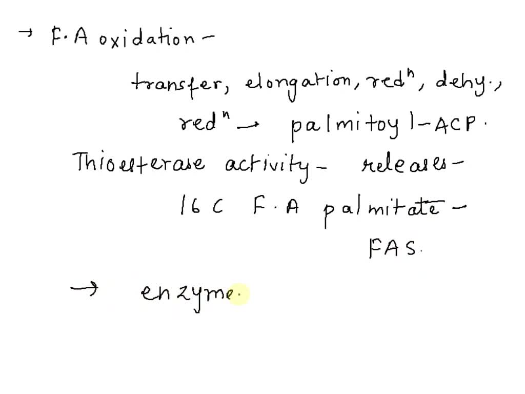 SOLVED: Fatty acid biosynthesis involves what sequence of reactions ...