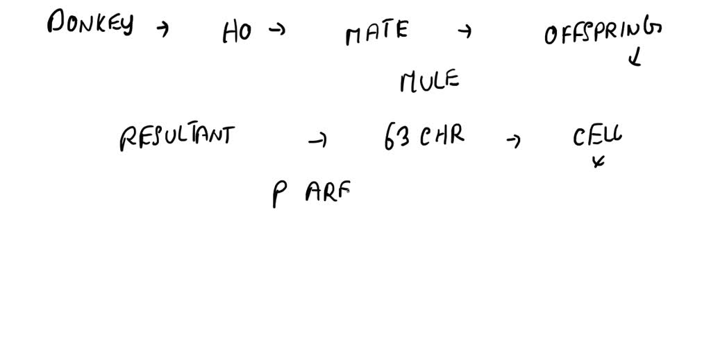 SOLVED: a horse has 64 chromosomes and a donkey has 62, using your ...