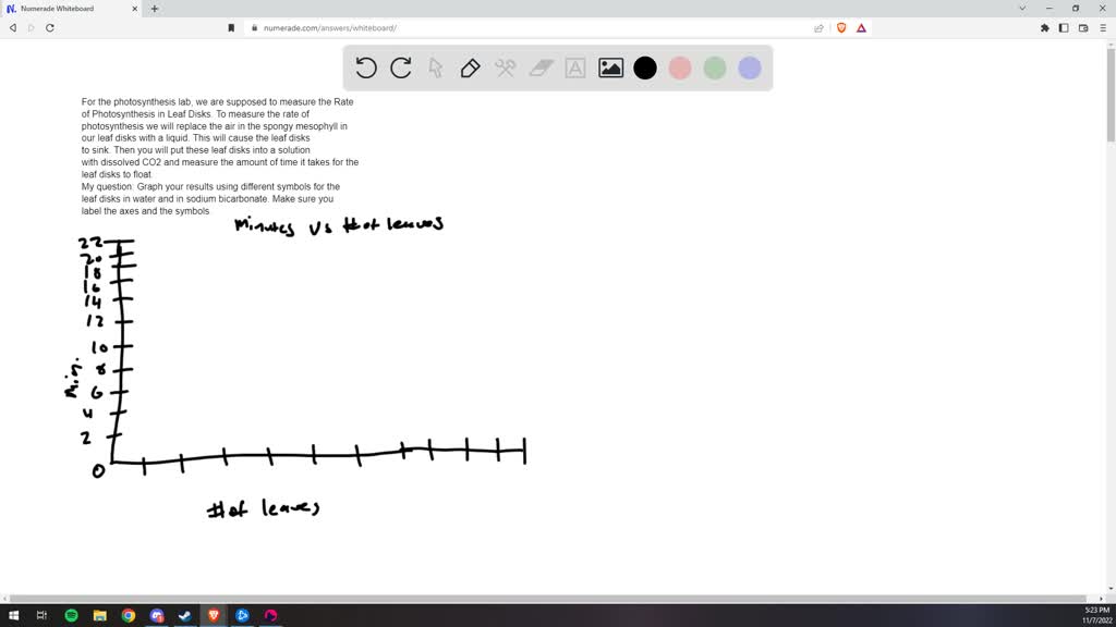 SOLVED: For the photosynthesis lab, we are supposed to measure the Rate ...