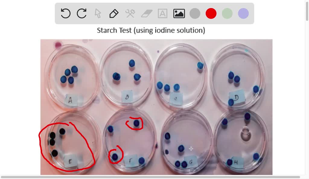 SOLVED: To test for starch, one would use: - Uncoated paper - Benedict ...