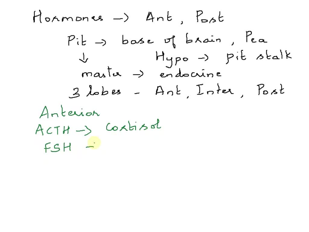 SOLVED: label the folling as either hormones od the posterior pituitary ... SOLVED: label the folling as either hormones od the posterior pituitary ...