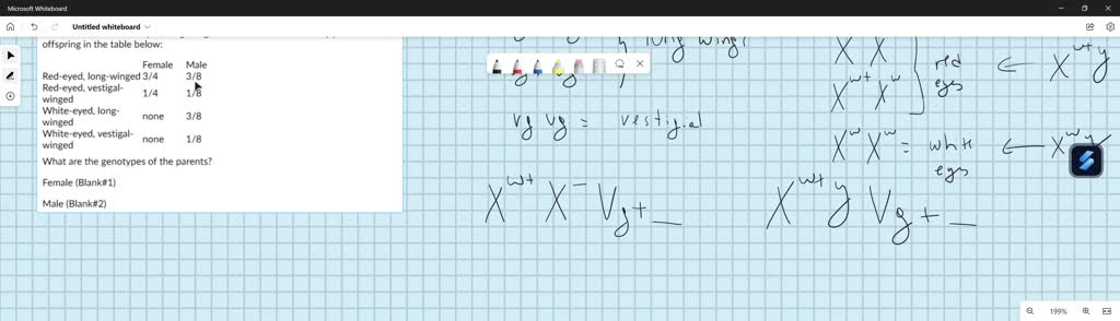 SOLVED: In the fruit fly Drosophila, the mutation causing the wild-type ...