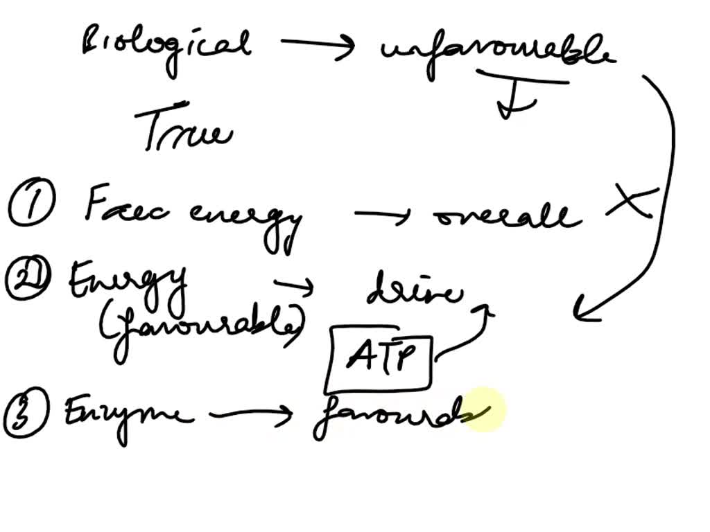 SOLVED: How can a biological pathway contain a thermodynamically unfavorable reaction? T/F 1 ...