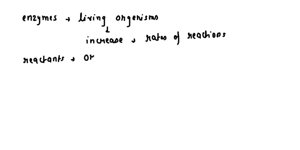 Solved Question 7 1 Point Enzymes Are Important In Living Organisms