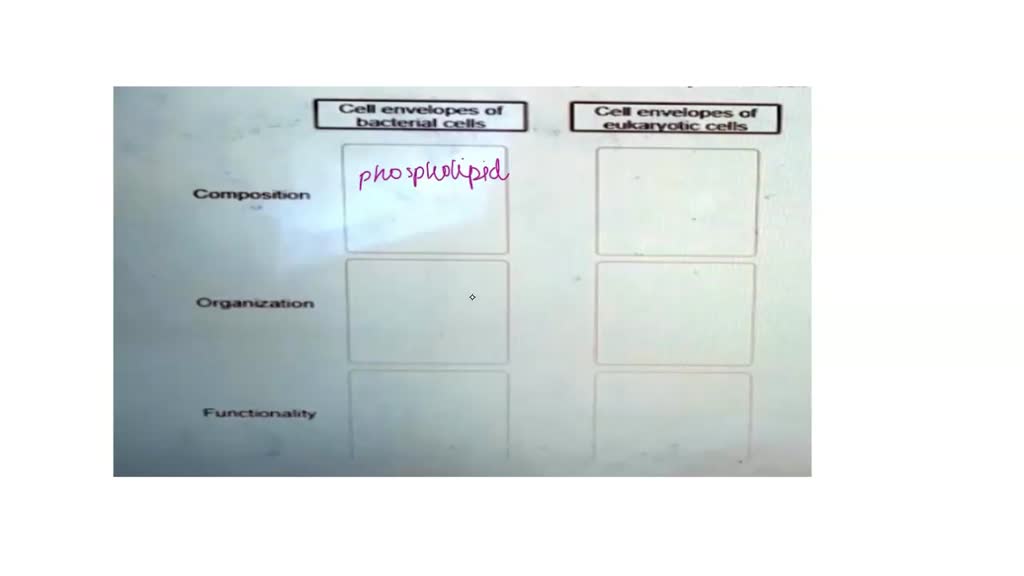 SOLVED: Homework Classity bacterial and eukaryotic cells according ...