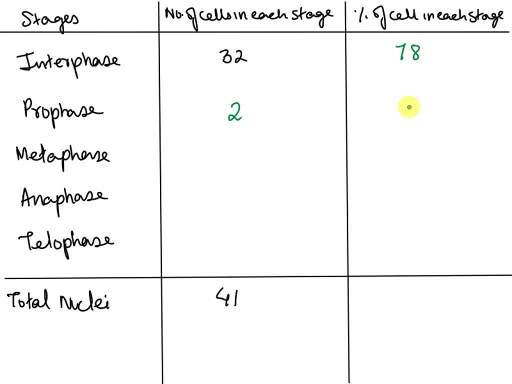 SOLVED: Count the cells in each stage of the cell cycle and complete the table below: There are ...