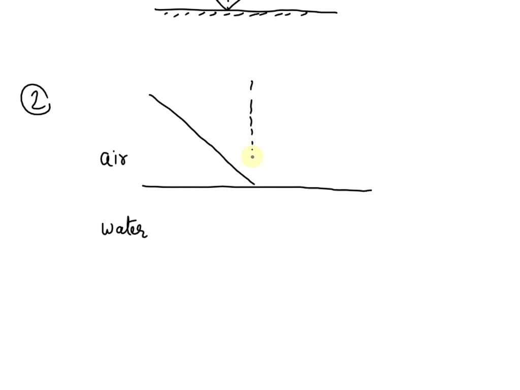 A person standing in a swimming pool appears to be have short legs ...