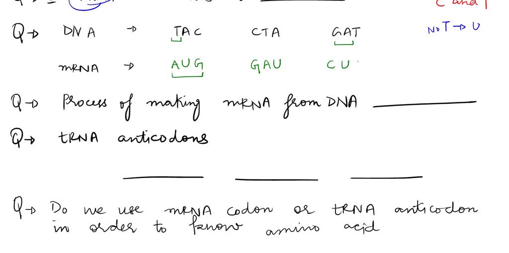 SOLVED: ayudaaaa lo necesito urgente 5. Lee el texto y realiza la ...