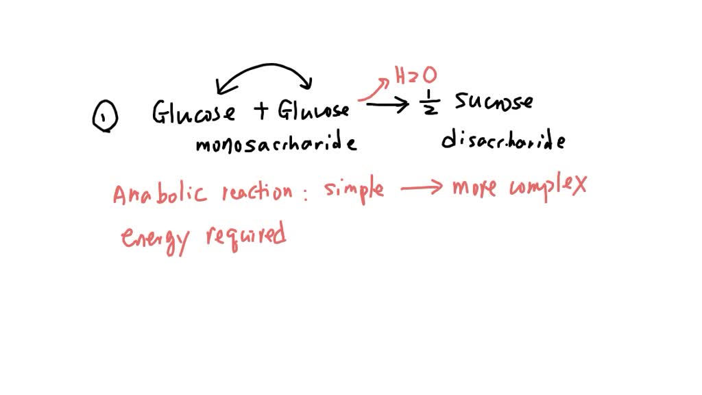 the categories below are based on a reversible chemical reaction. Each ...