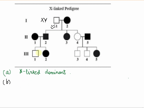 based on the pedigree in figure 1 which of the following best explains ...